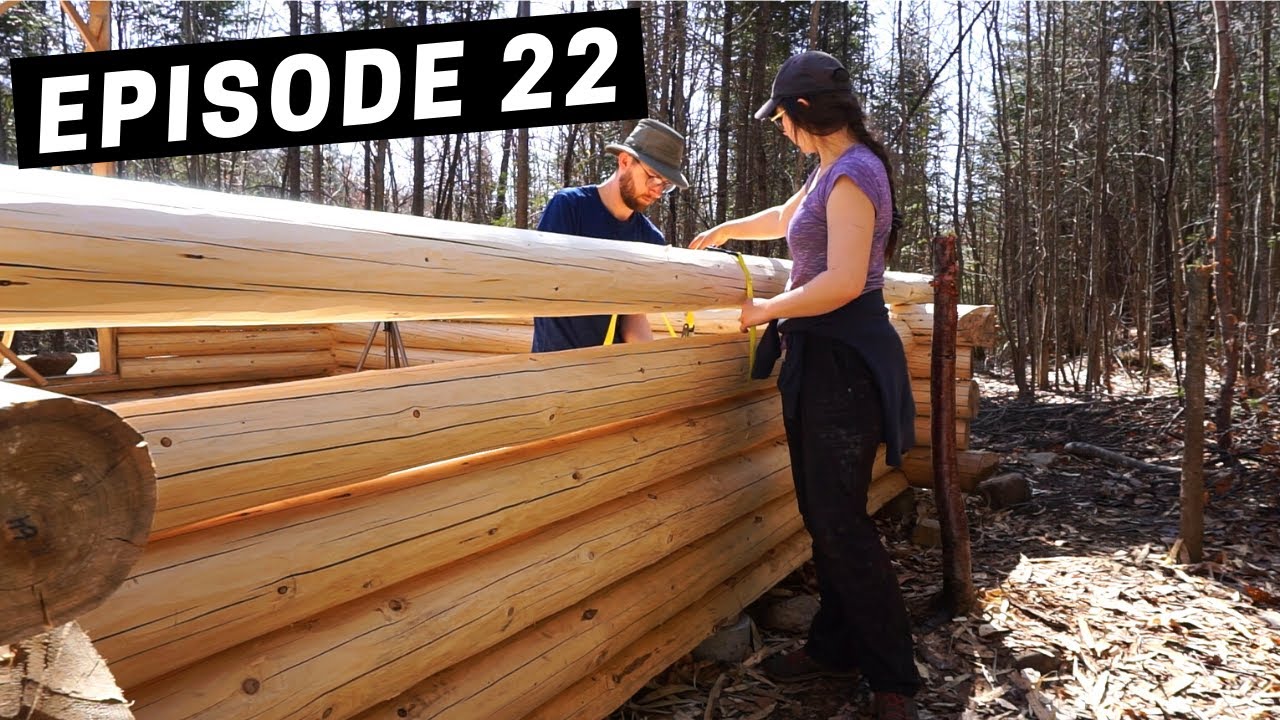 Building A Log Cabin | Ep. 22 | Roof rafters, log notching, gardening ...
