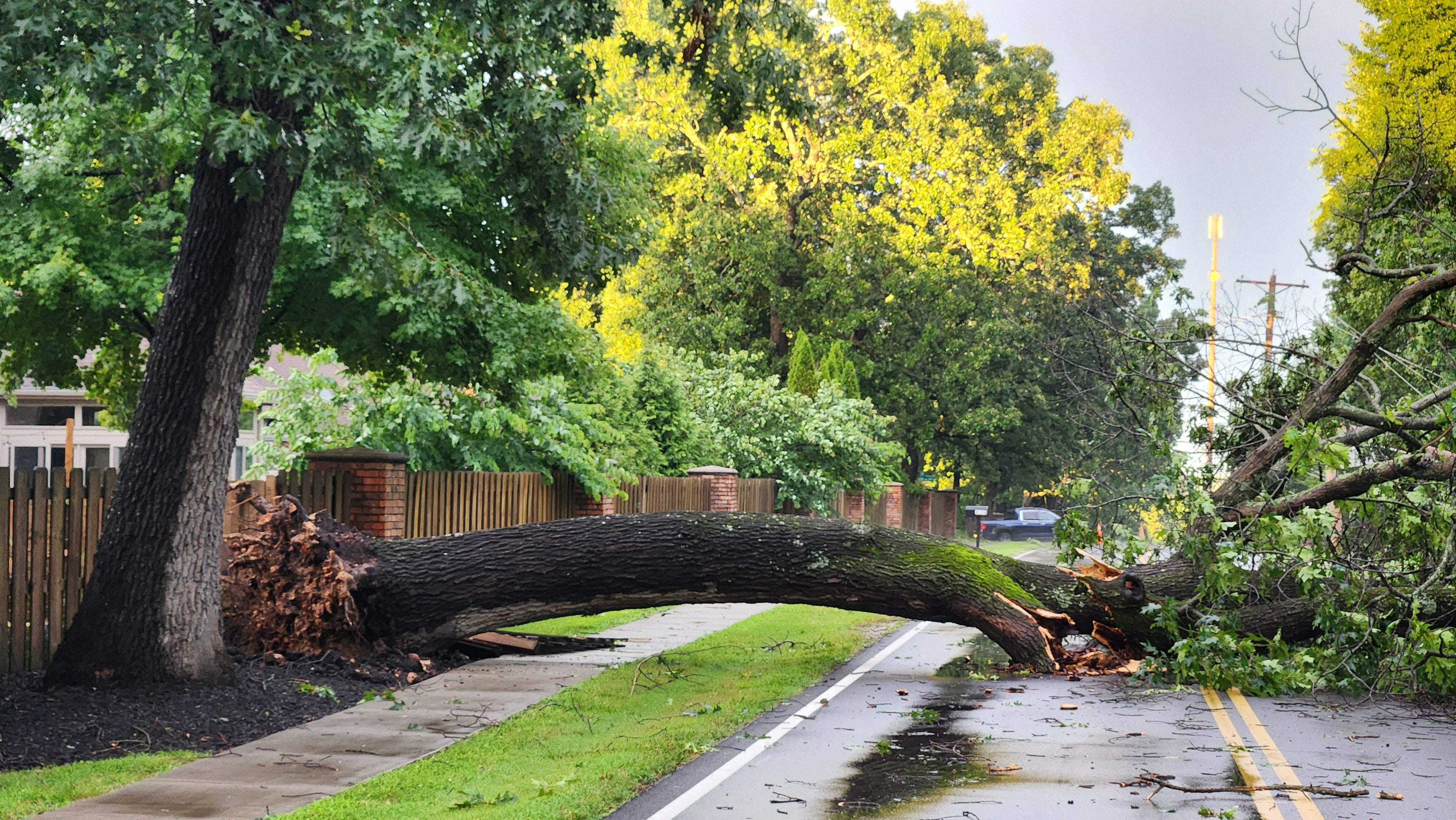 Springfield storm debris volunteer cleanup day rescheduled for July 24