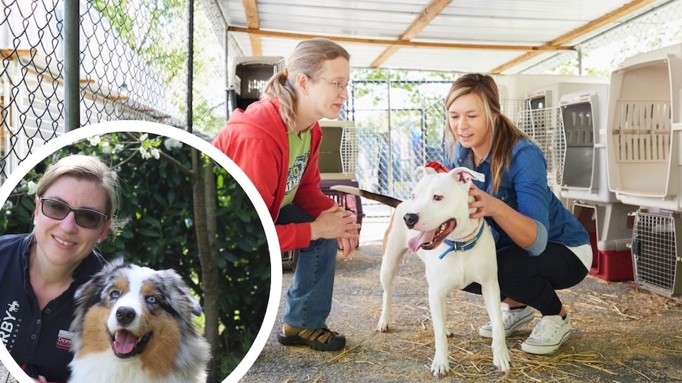 PETBOOK author criticizes: “Those who go to a breeder for a dog become ...