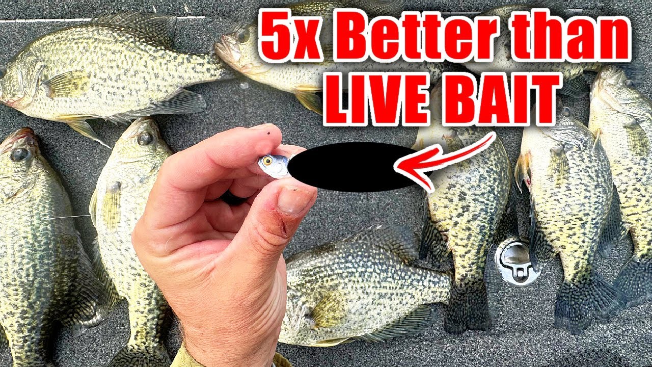 This new lure outfishes live bait 5 to 1 for crappie and bass in winter