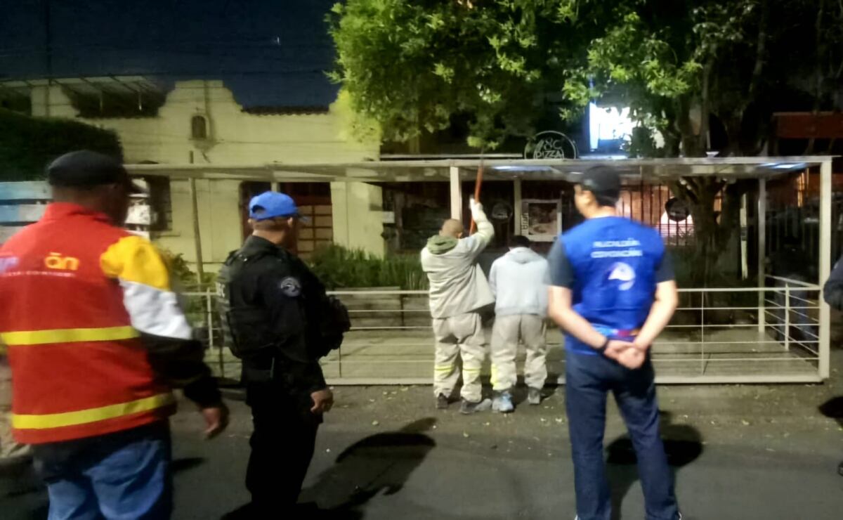 Retiran estructuras irregulares en Coyoacán; obstruían la vía pública y ...