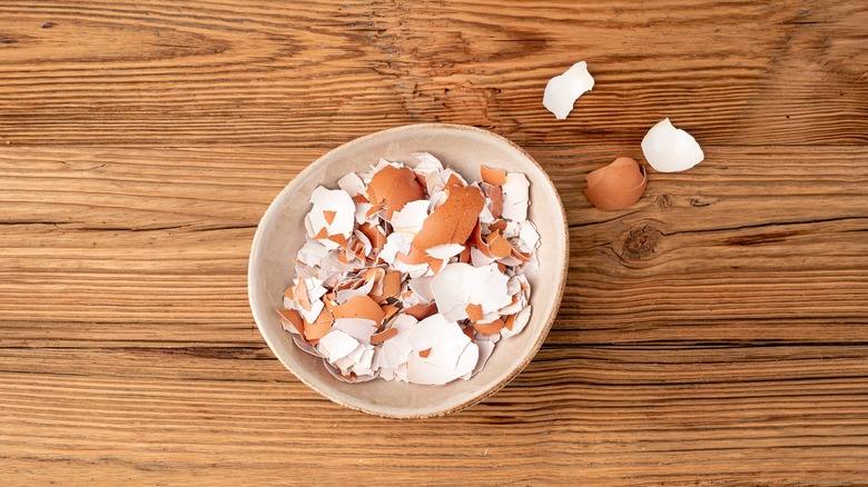 Mistakes Everyone Makes When Cooking Eggs In The Microwave