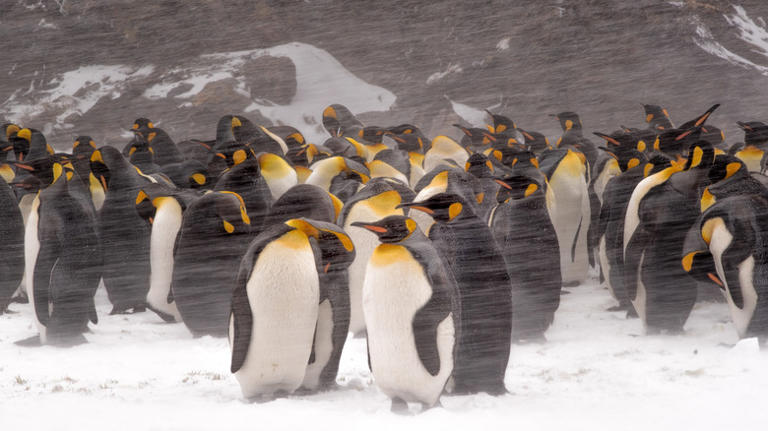 Here's One Big Reason Why Planes Don't Fly Over Antarctica