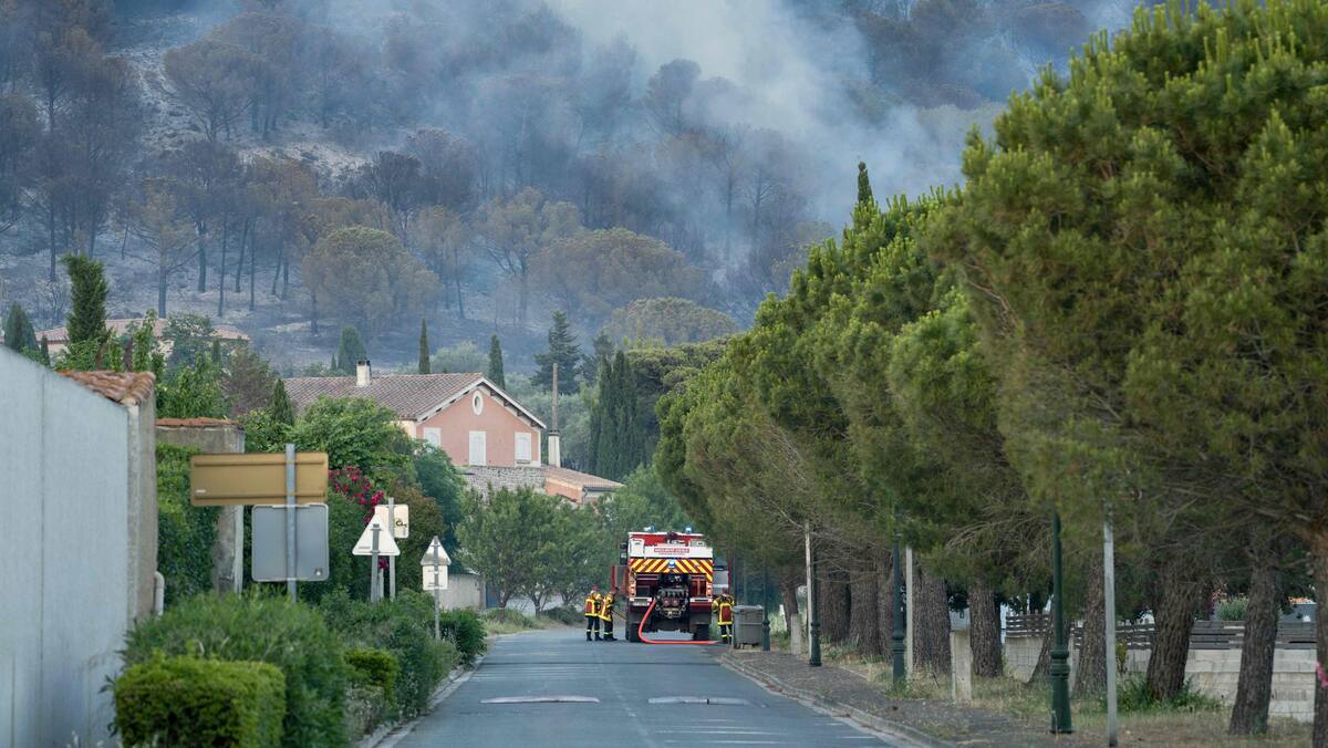 Barbecue mal éteint: Des centaines d'hectares partent en fumée dans un ...