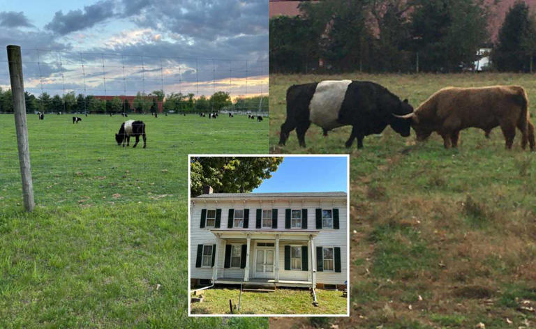 Trump Admin Joins Fight To Save Henry Family Farm In NJ