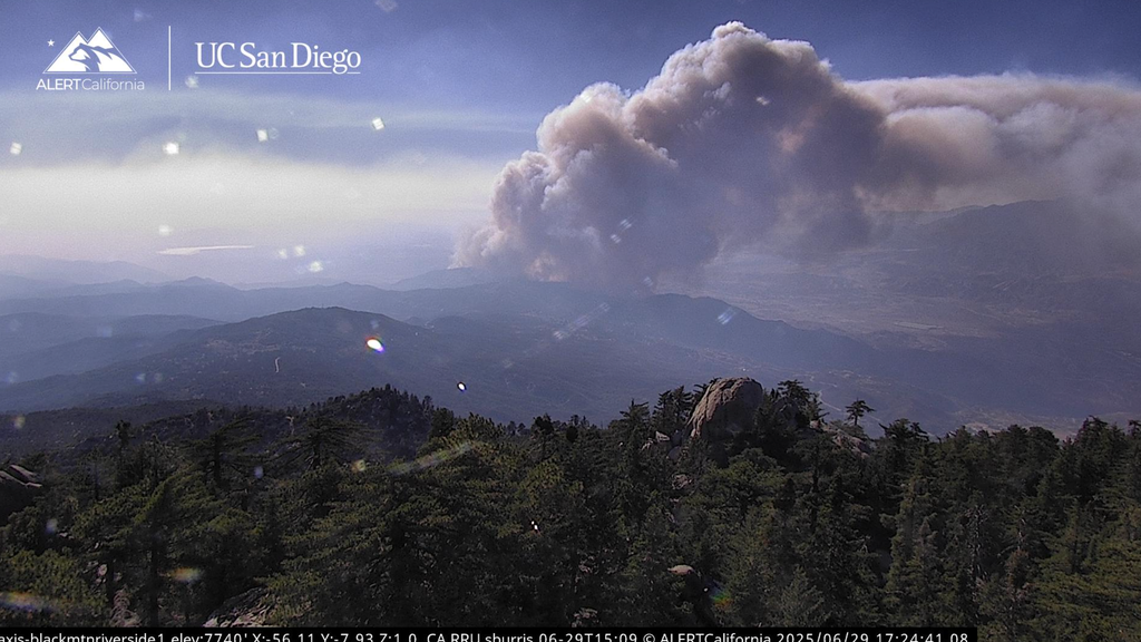 Evacuations ordered as firefighters battle 2,400-acre Wolf Fire near ...