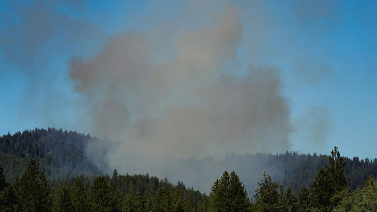 Sniper starts fire then kills two firefighters in 'total ambush'