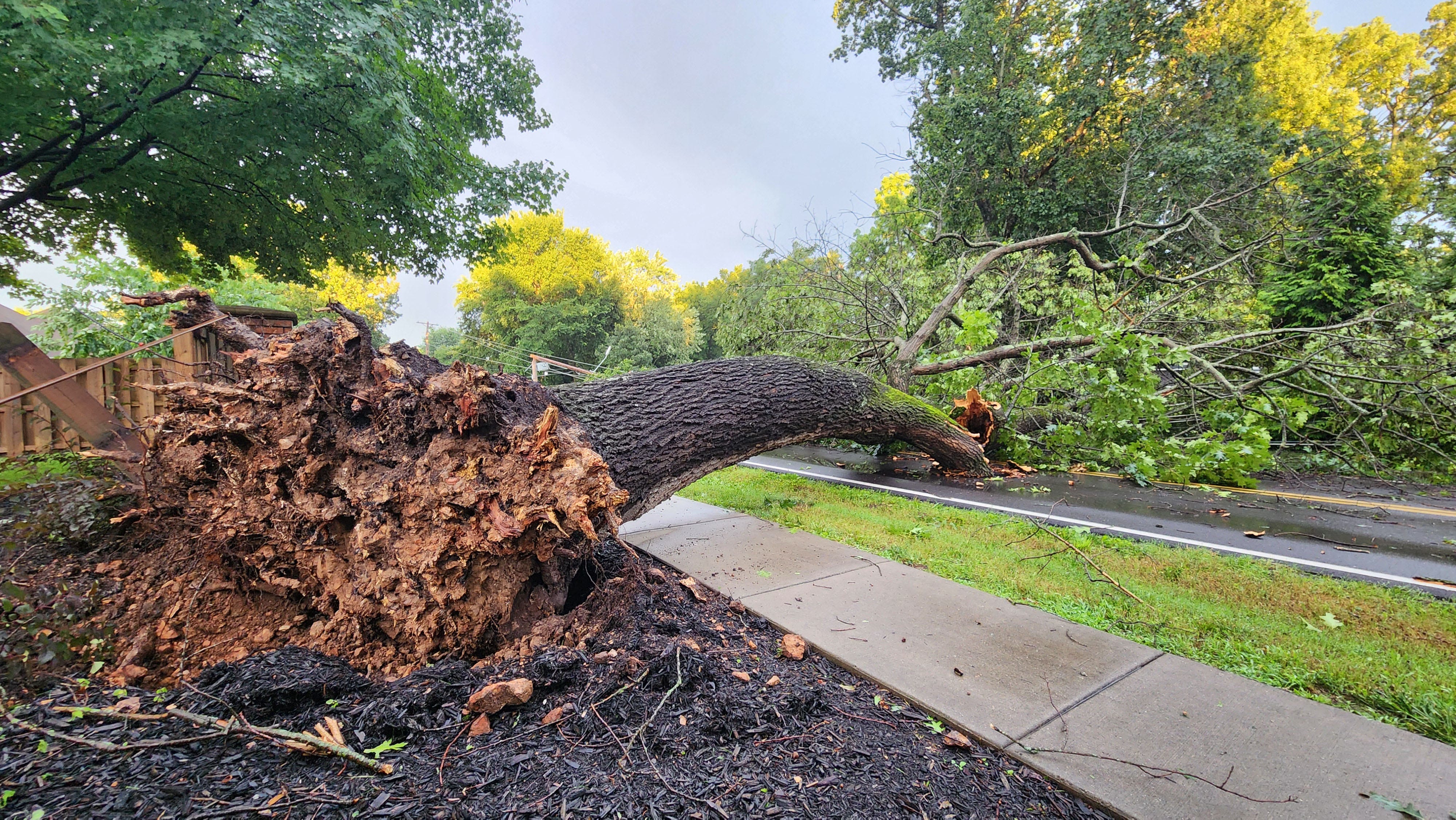 Thousands of Springfield residents have no power. How to report outages ...
