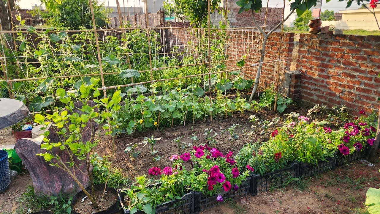 Insane Vegetable Garden Tour: You've Never Seen Anything Like This
