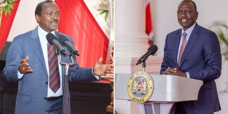 Kalonzo Reveals When He Can Only Work Together with Ruto