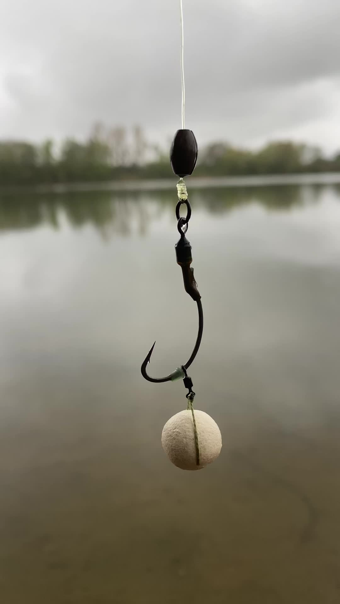 Ultimate Carp Rig Setup Viral Montage for Fishing Fans