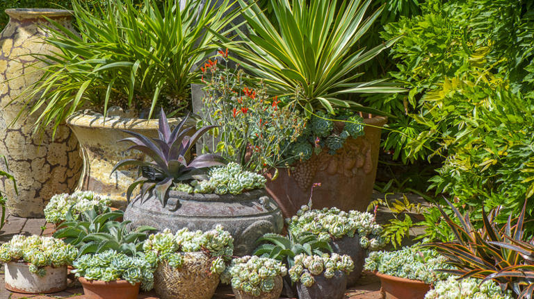 What Is A Capsule Garden & What's The Best Way To Design One?
