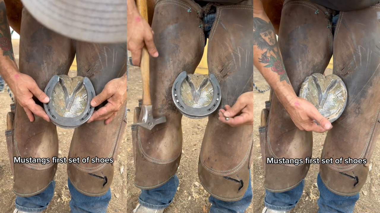 Farrier Meets Fire – Doritos Dare to Be Burned Challenge