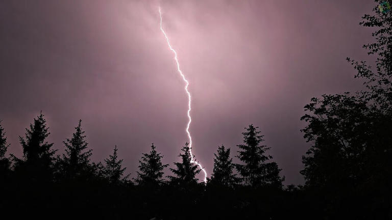 Live updates: Strong winds, heavy rain overnight; turning colder