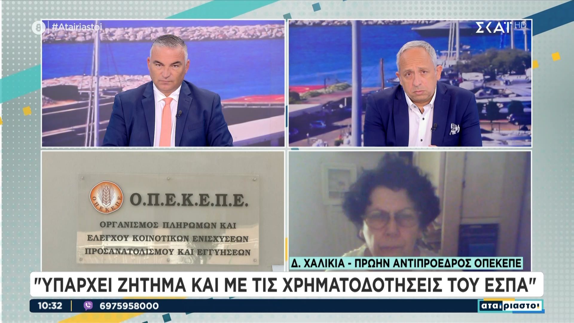 Δ. Χαλικιά - πρ. αντιπρόεδρος ΟΠΕΚΕΠΕ: «Υπάρχει ζήτημα και με τις ...