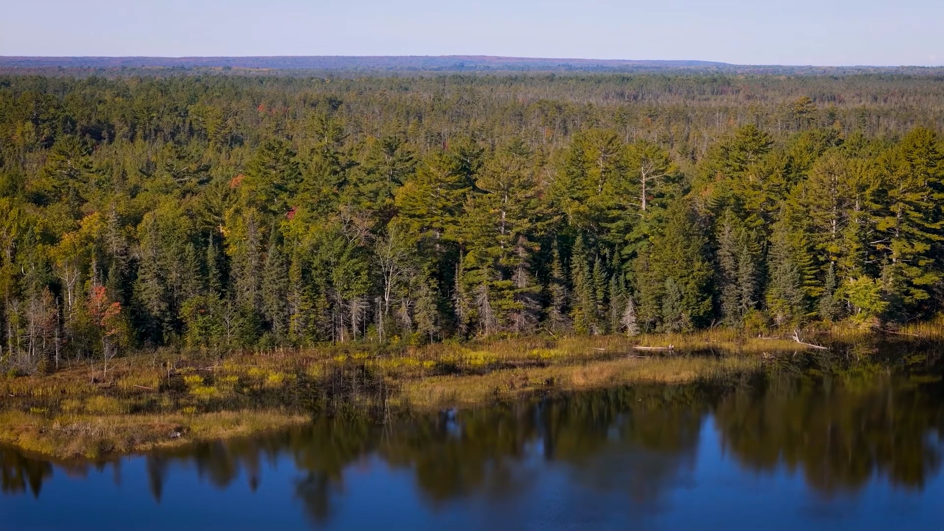 Da Detroit ai Grandi Laghi: vista aerea dei paesaggi del Michigan