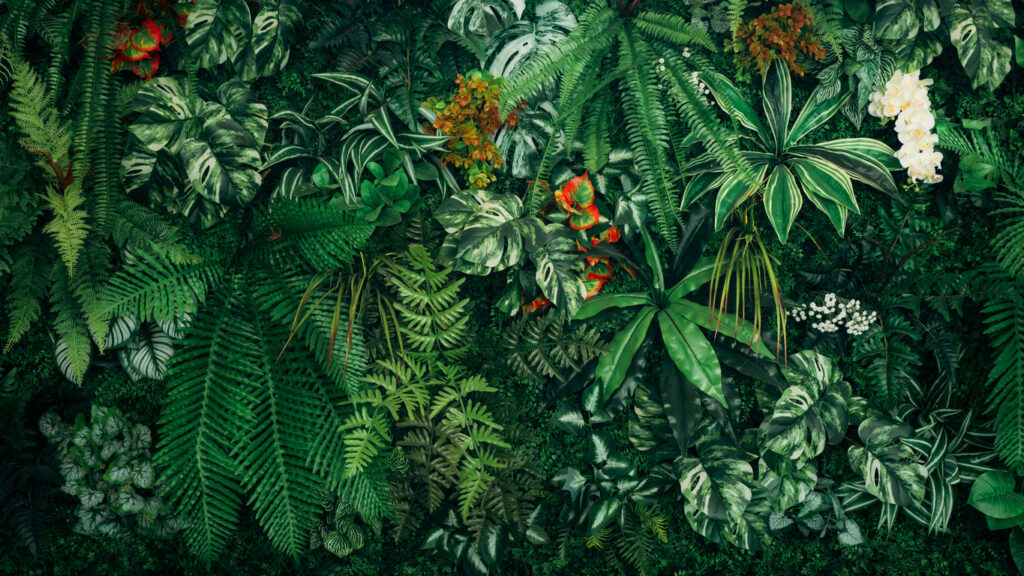 Botanical Plant Names Aren’t As Complicated As They Sound—Here’s How To Decode Them