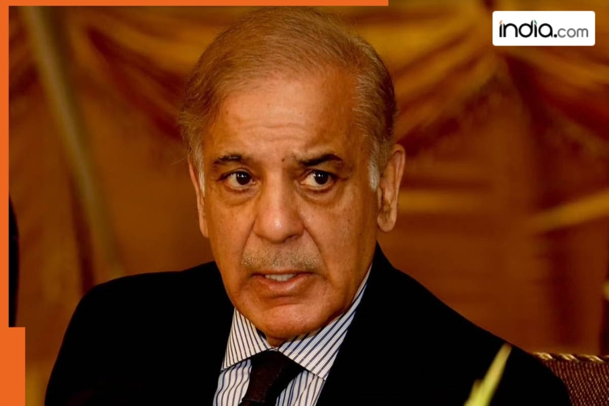 Pakistan requests cheaper condoms, IMF rejects PM Shehbaz Sharif's ...