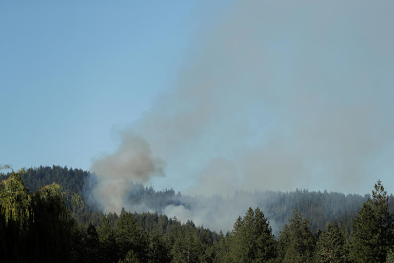 Gunman starts blaze and shoots two firefighters dead in 'horrific' US ...