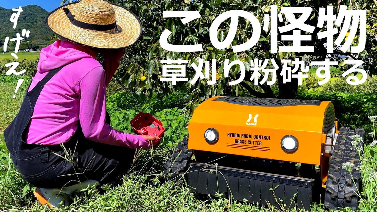 ラジコン草刈り機 ヤバい雑草の森を離れた場所から草刈りする｜HAIGE（ハイガー）ラジコン草刈機 HG-RCGC501