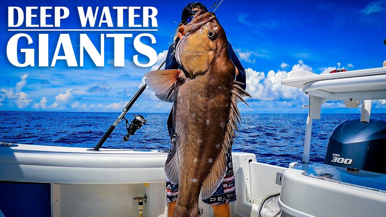 When the Fish Fights Back: Deep Sea Beast