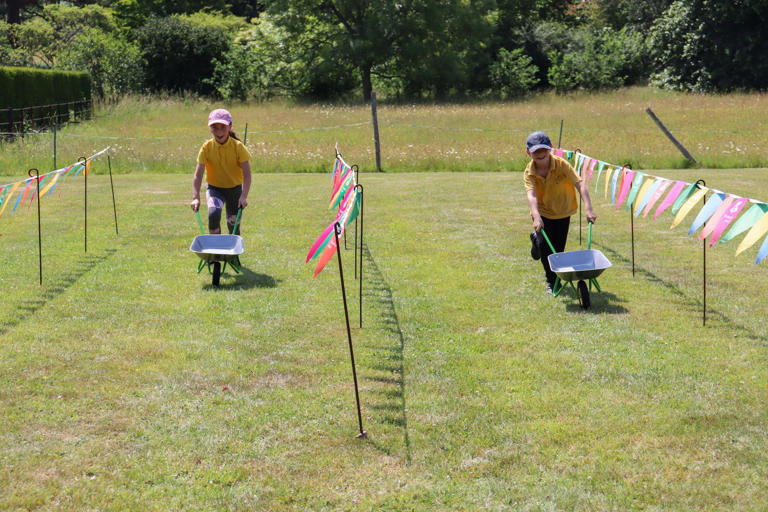 Burwash pupils explore nature on Emily Gravett’s Tidy trail at Bateman ...