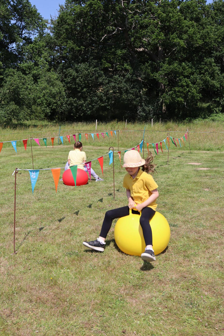 Burwash pupils explore nature on Emily Gravett’s Tidy trail at Bateman ...