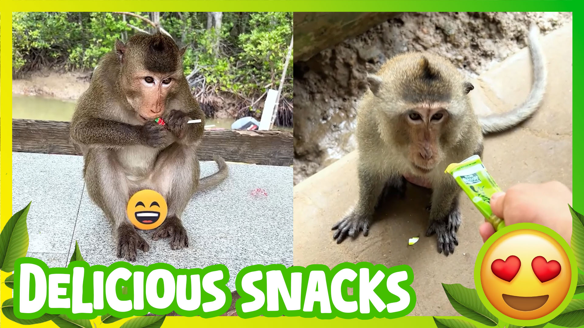 Delicious Snacks for Monkey 🐵🍍 | Cute, Tasty & Funny Eating Moments