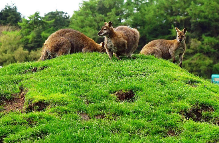 43 of the best places for families to visit over the summer holidays ...