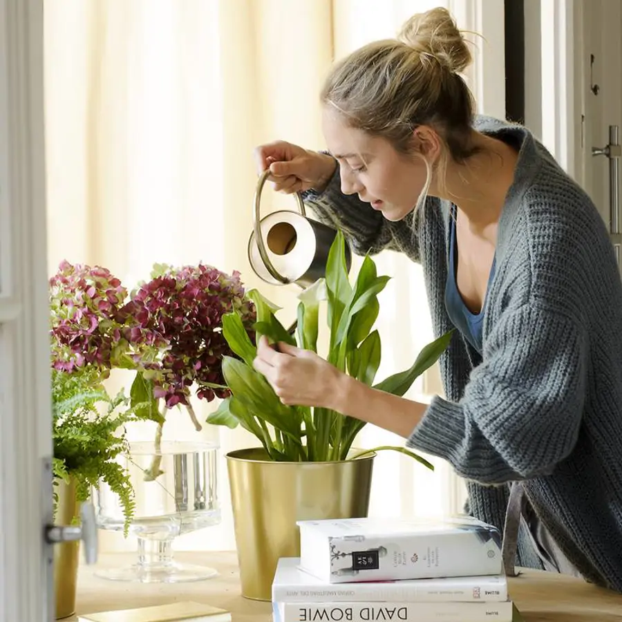 Esta es la mejor hora para regar las plantas en verano