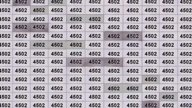 Can you spot 4052 hidden among 4502s? This optical illusion is a real ...