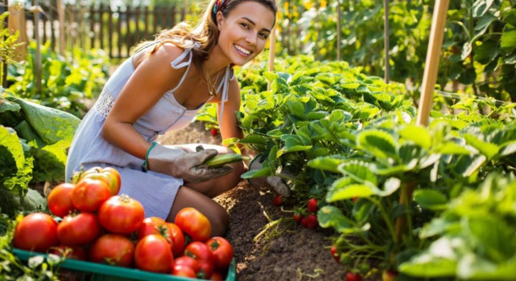 Promouvoir l’agriculture biologique grâce à l’Agence Bio