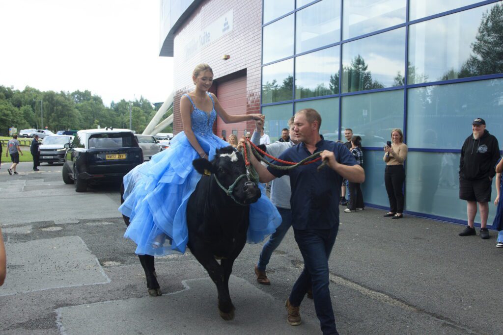 Forget limos – farmer’s daughter rides cow to prom