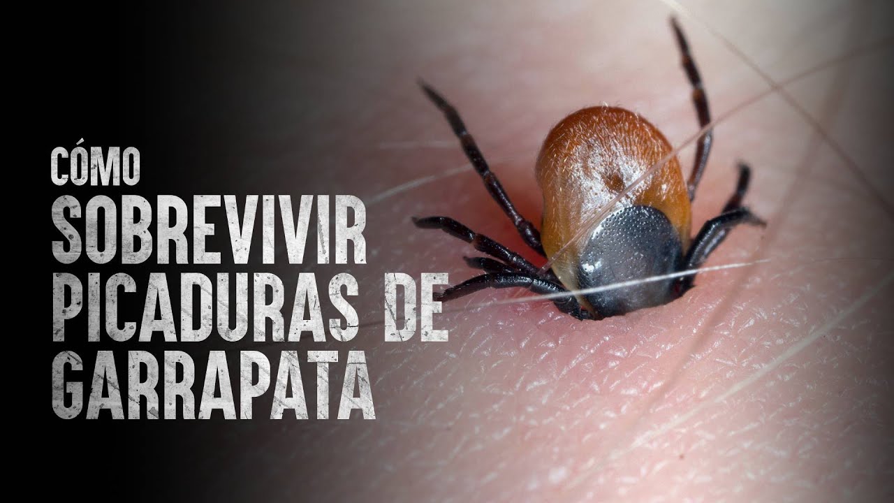 Cómo Sobrevivir a picaduras de garrapatas
