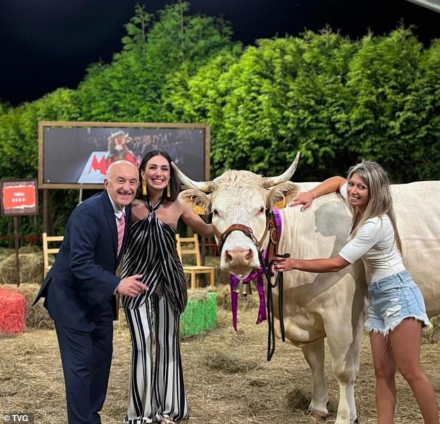 Cow wins Spanish beauty pageant for its 'comely horns and charming ...