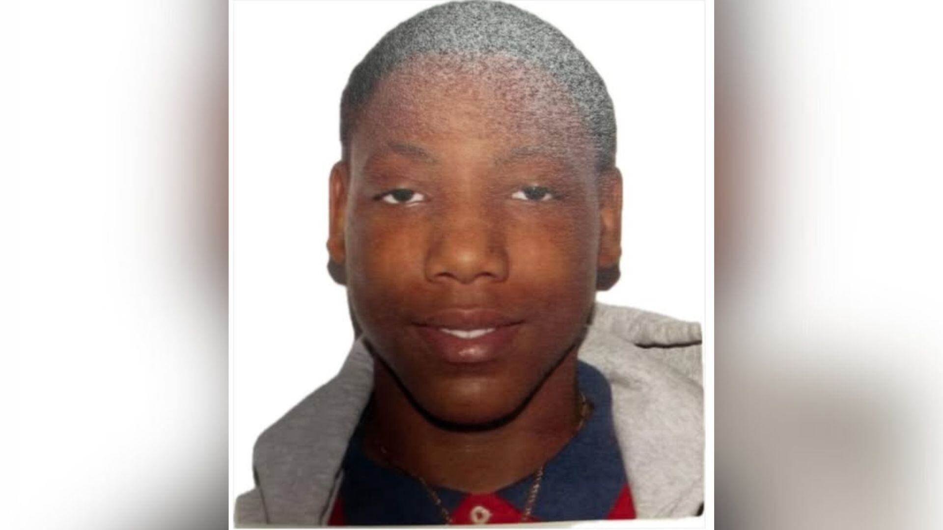 Homicide suspect arrested following extensive search in Prince Edward ...