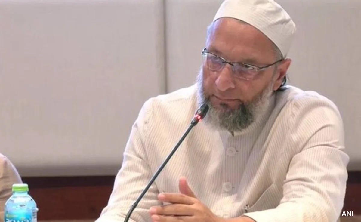 AIMIM To Join Team Opposition In Bihar Polls? What Asaduddin Owaisi Said