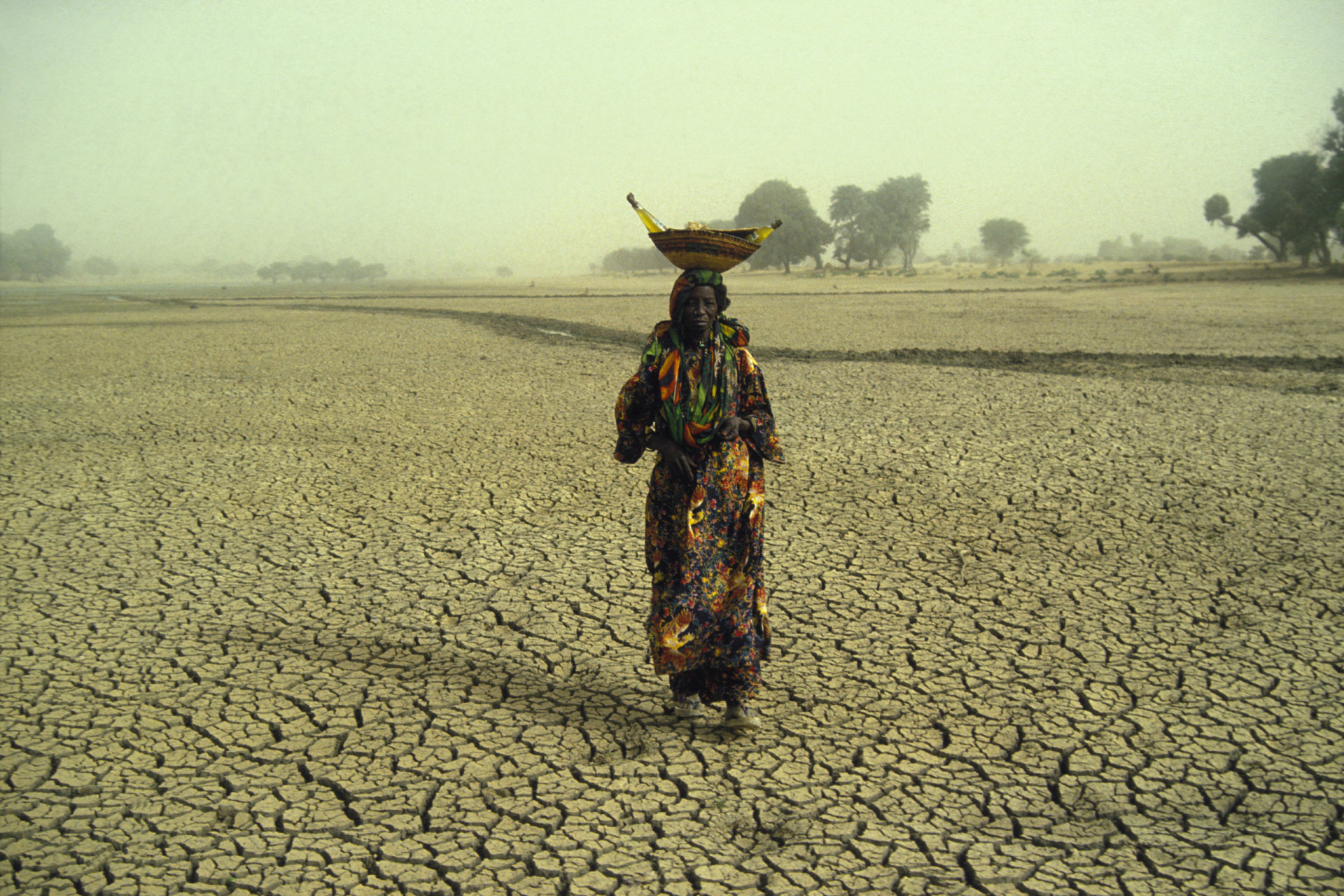 Great Green Wall: Africa’s fight against the desert