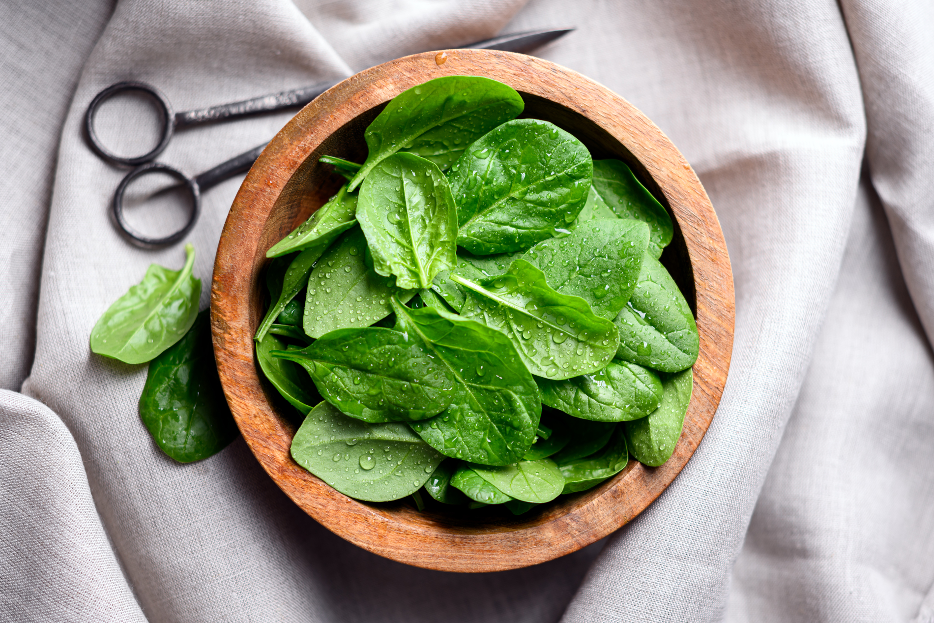Low on Iron? These Foods Can Help