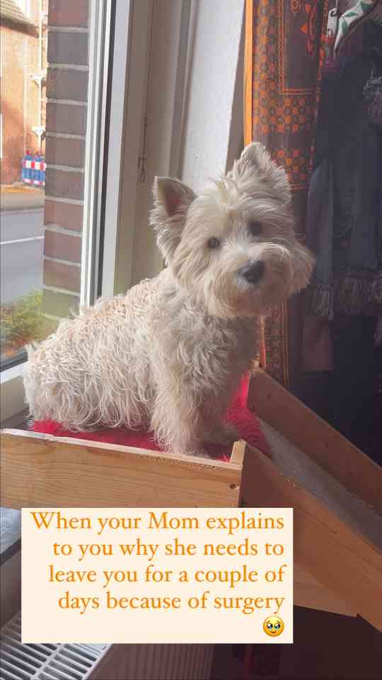 Warning: Extreme Cuteness Ahead