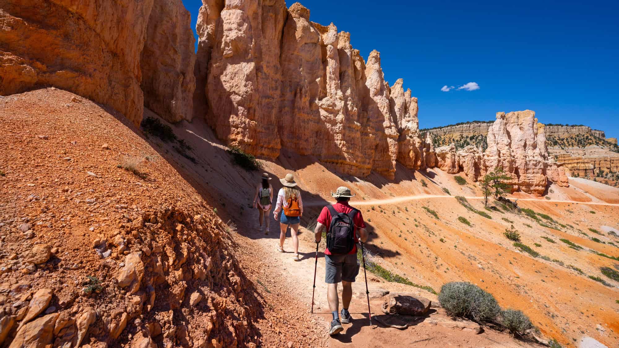 15 National Parks With The Worst Crowding Issues