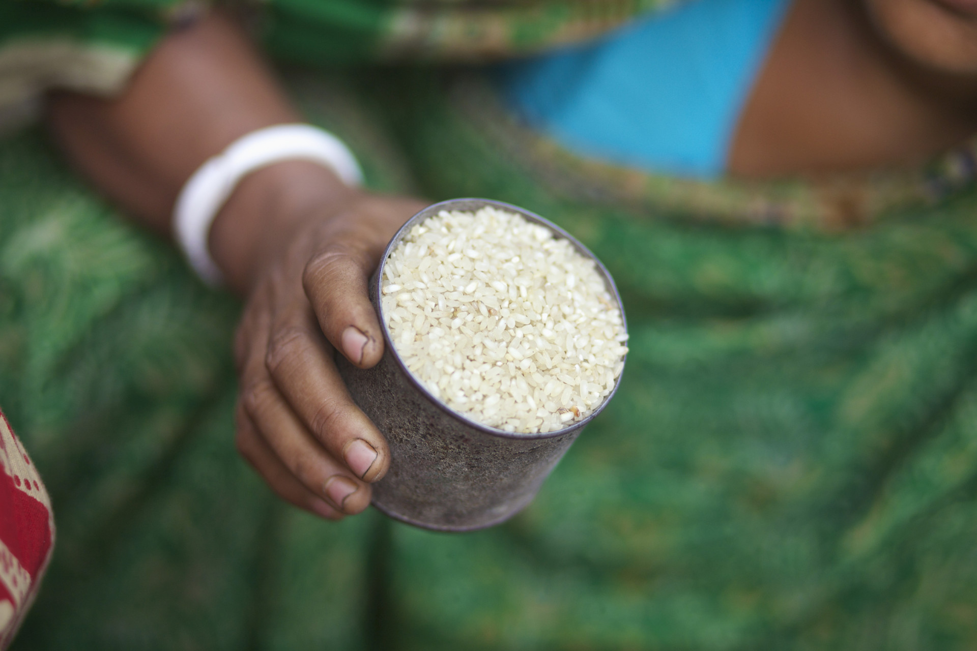 Foods that may soon disappear from our planet