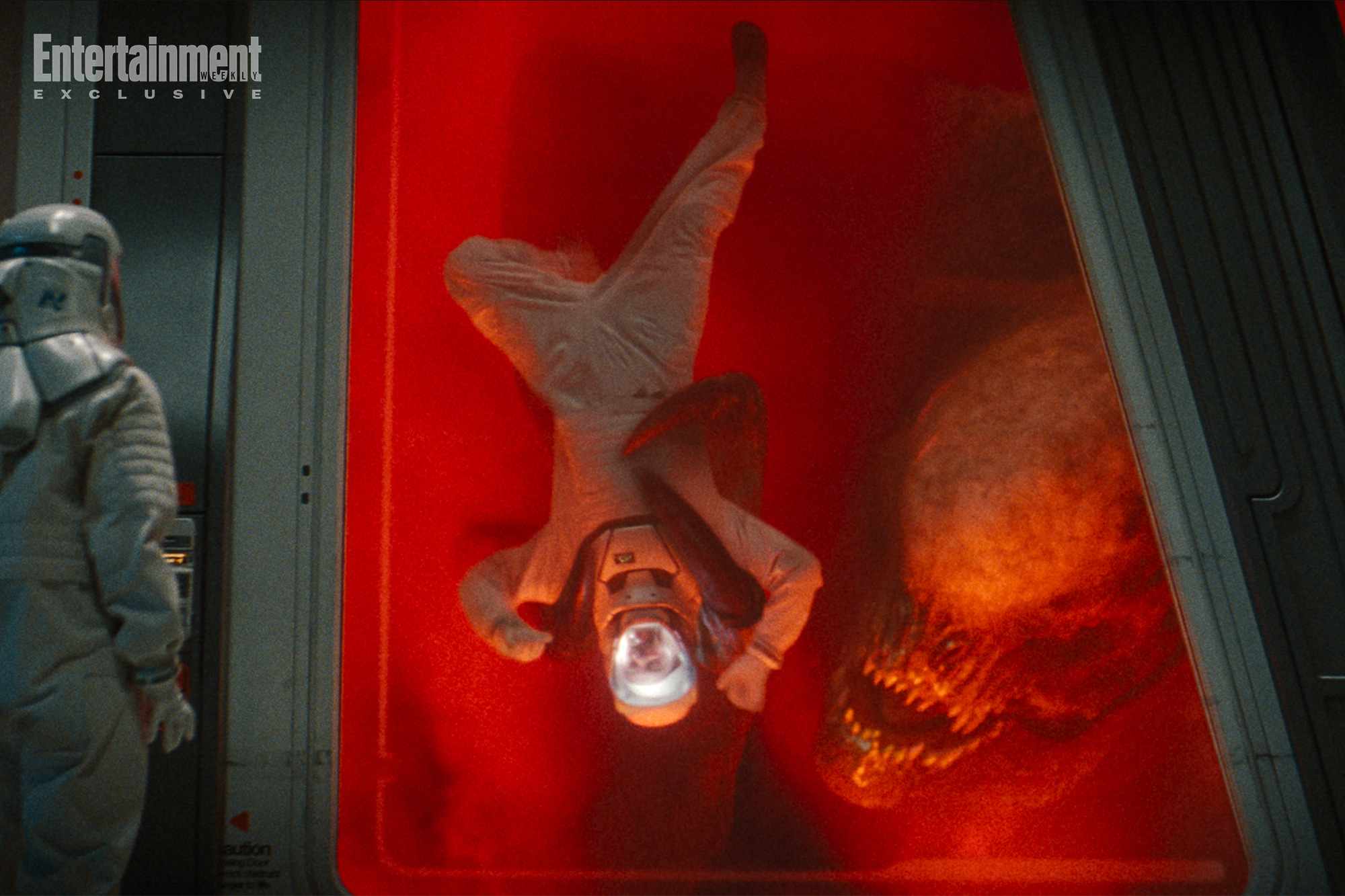 Inside the “Jurassic World Rebirth” mutant dinosaur laboratory: See ...