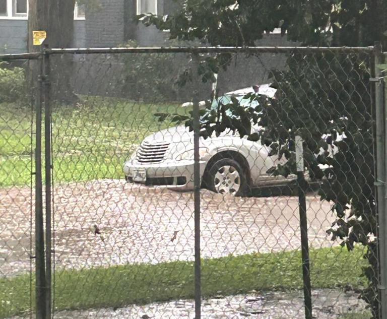 Woman dies in Sunday’s storms in Springfield after tree crushes vehicle