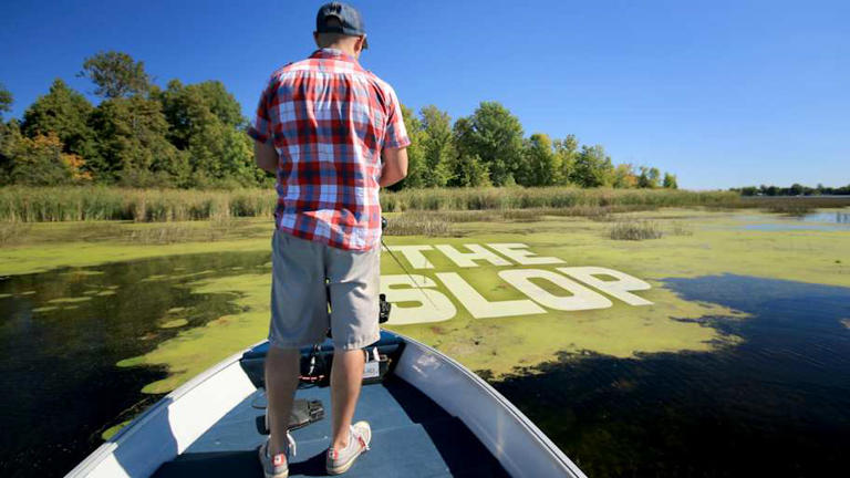 Slop Fishing Secrets: How to Catch Big Largemouth Bass in Thick Cover