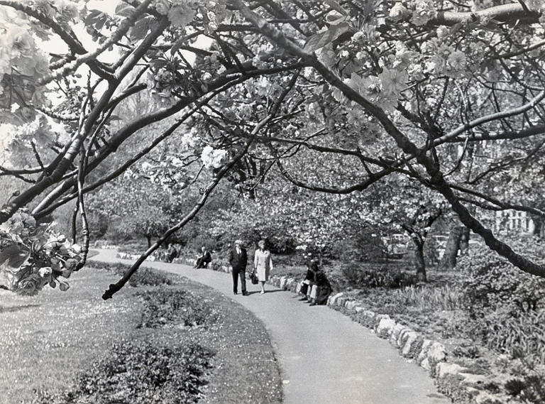 Intriguing old photos that will bring 1970 Portsmouth back to life