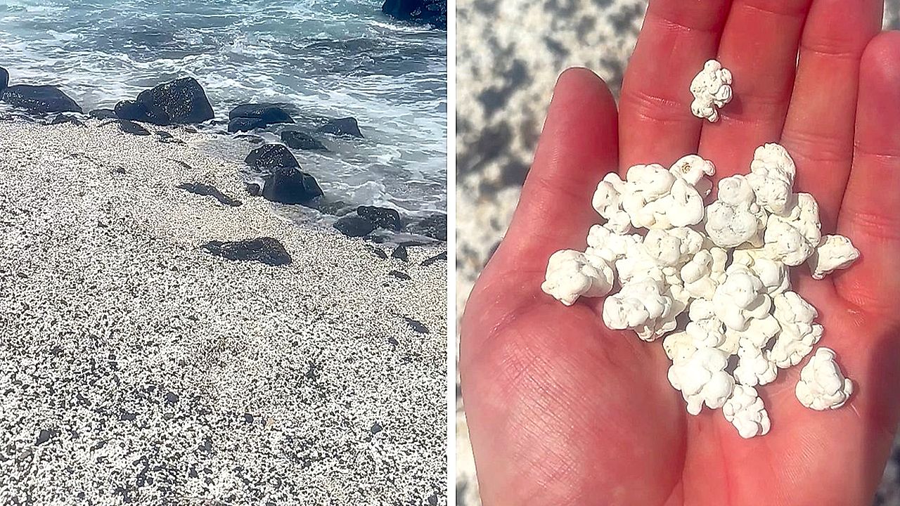 Spanish beach covered in fossilized 'popcorn' algae stuns visitors