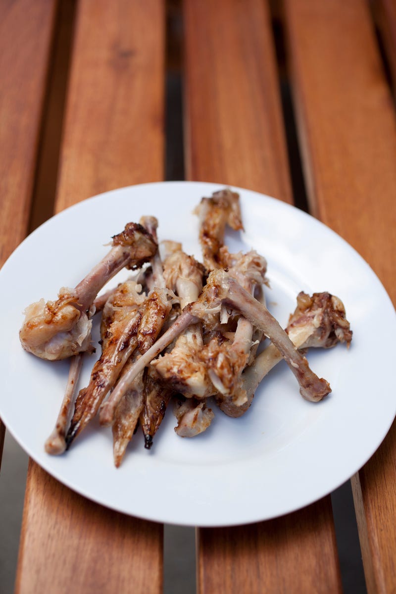 16 Secretly Dangerous Things Your Dog Should Never Eat, Per a Vet