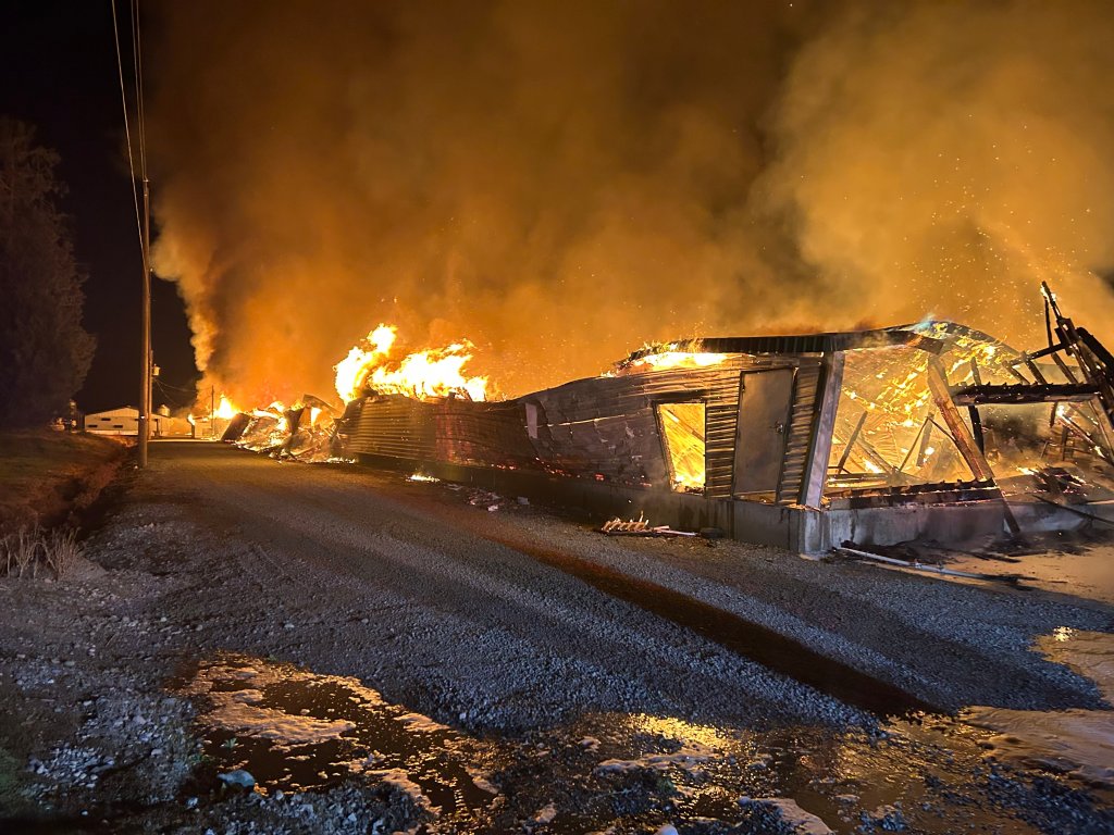 More than 25,000 chickens killed in ‘devastating’ Langley barn fire