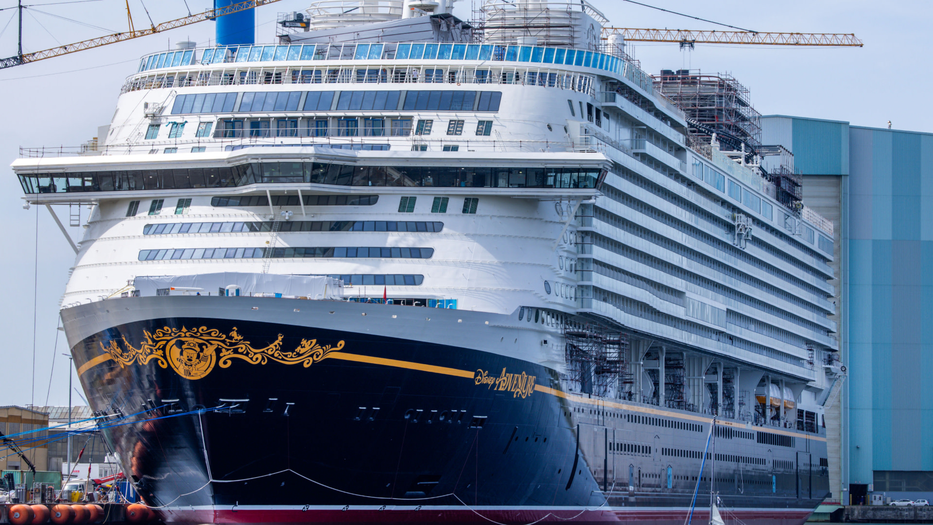 Heroic Dad Leaps Off Disney Cruise Ship After Child Falls Overboard